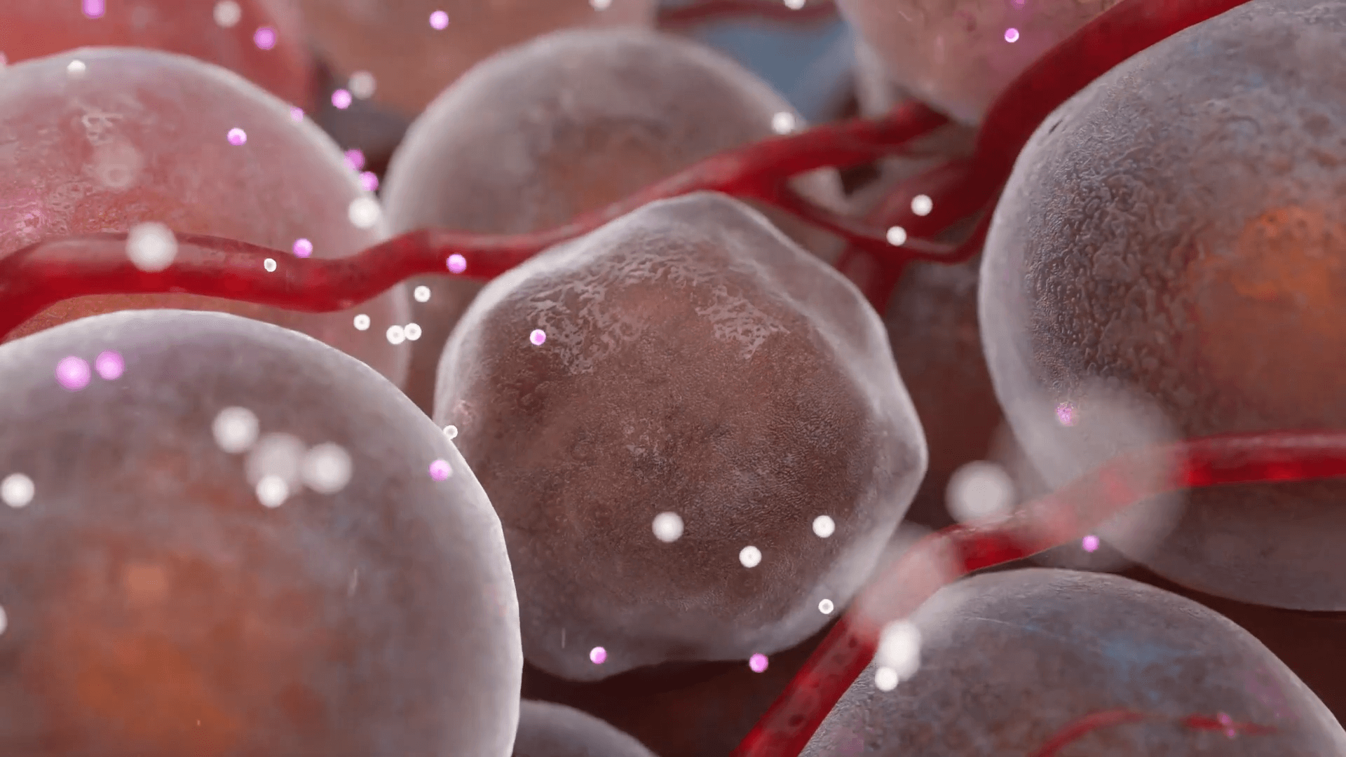 ViroMissile Announces First-in-Human Phase I Trial of IDOV-Immune for ...
